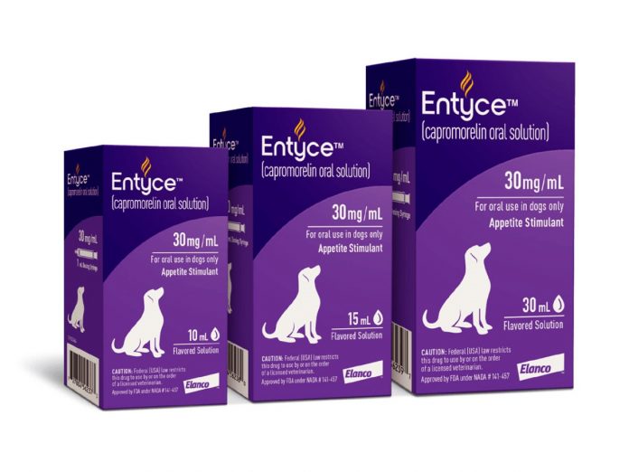 狗狗厭食症藥物治療選擇：Entyce® （Capromorelin）食慾促進劑 - 寵物健康醫療網 | 最多人看的寵物健康媒體