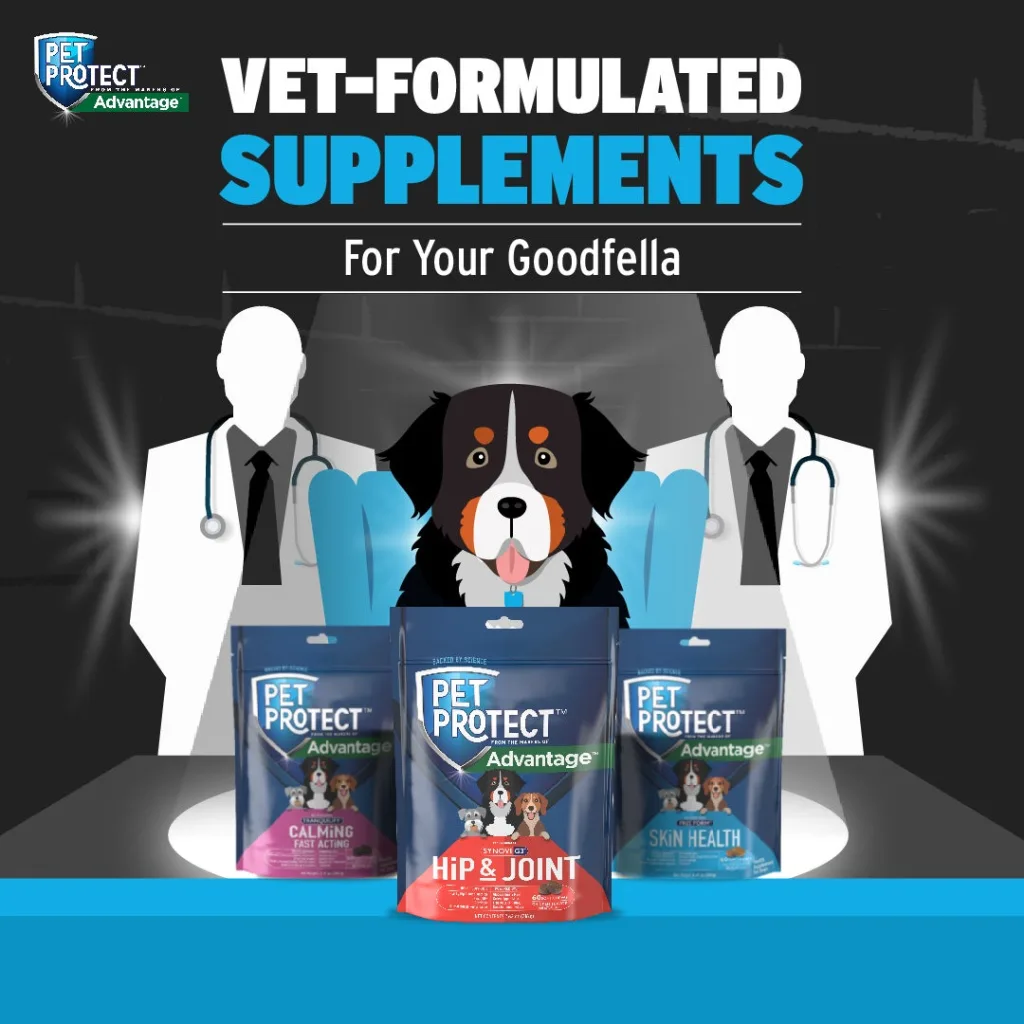 Elanco 推出 Pet Protect 獸醫專業配方保健品，全面守護毛孩健康 - 寵物健康醫療網 | 最多人看的寵物健康媒體