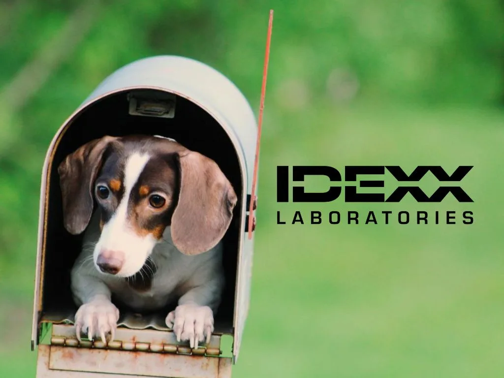 IDEXX 推出犬隻癌症早期篩檢技術，15 美元即可篩檢犬類淋巴瘤！ - 寵物健康醫療網 | 最多人看的寵物健康媒體