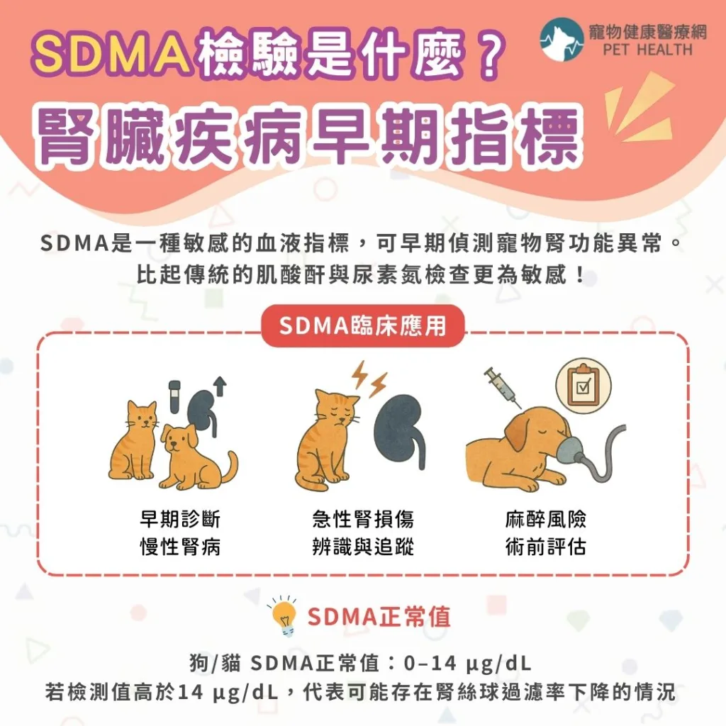 寵物SDMA檢驗是什麼？幫助早期發現寵物腎臟疾病的關鍵指標 - 寵物健康醫療網 | 最多人看的寵物健康媒體