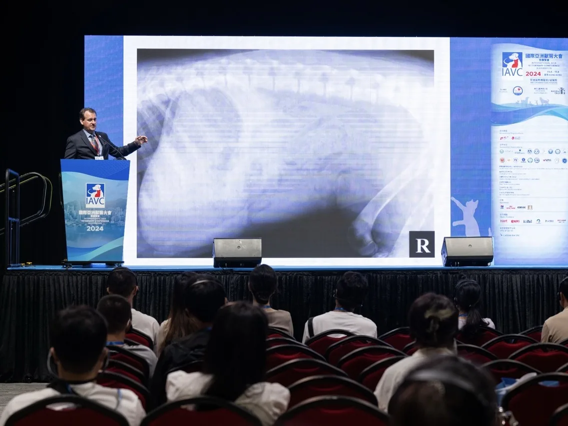 IAVC 2025 國際亞洲獸醫年會蓄勢待發！聚集全球專家、打造亞洲最具規模學術交流平台 - 寵物健康醫療網 | 最多人看的寵物健康媒體